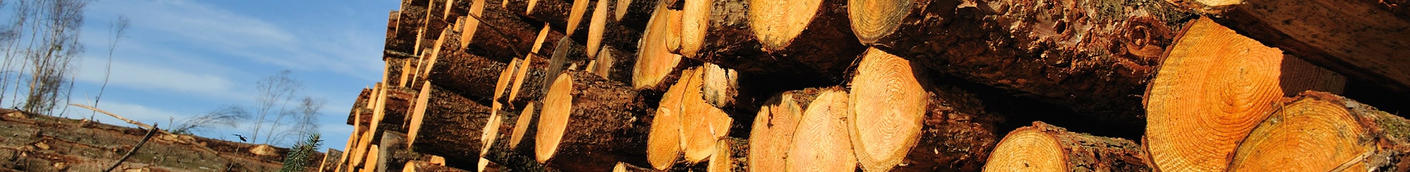 Lumber Industry Processing & Conveyor Equipment | Mass-Flow Hoppers ...